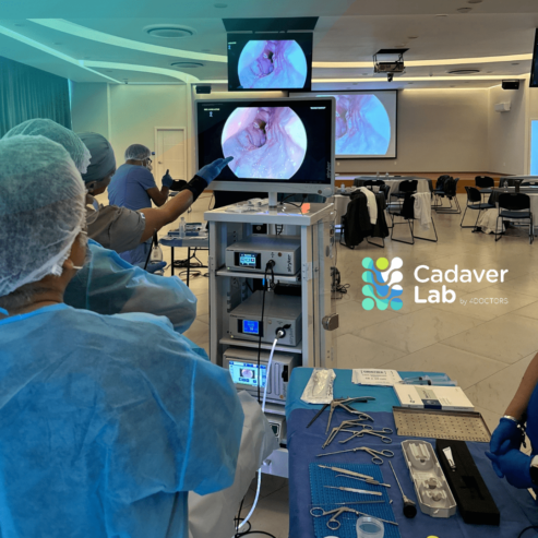 CadaverLab